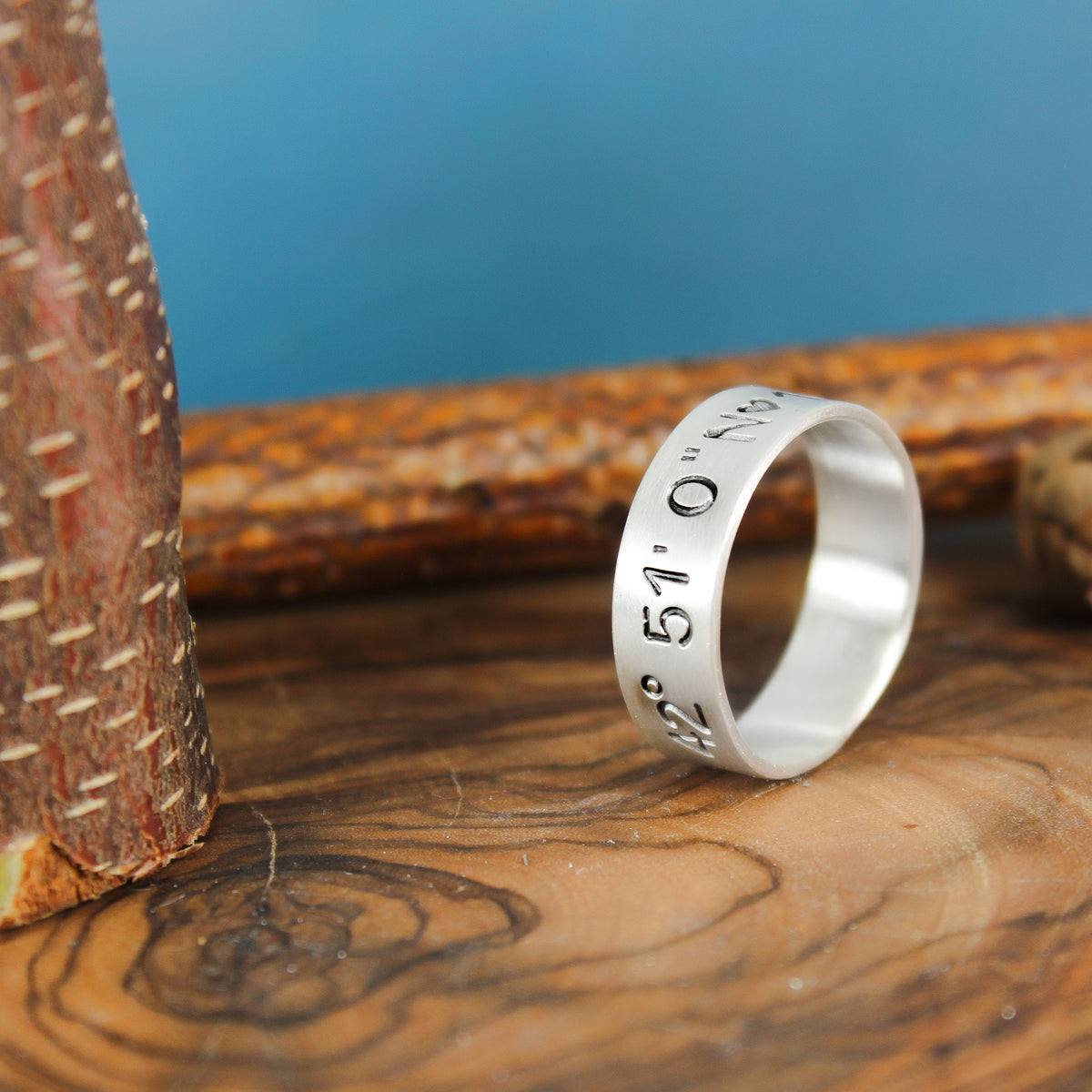 Silver Coordinate Ring